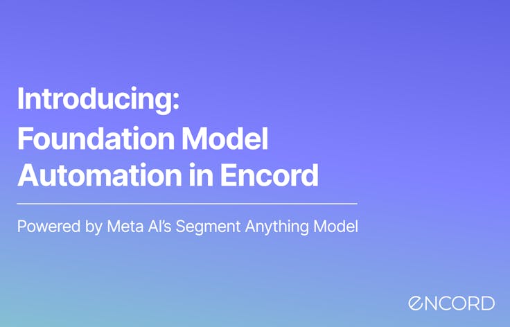 Machine Learning Cross-Entropy Loss Functions