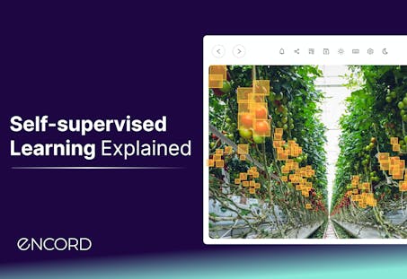 The complete guide to self-supervised learning | Encord