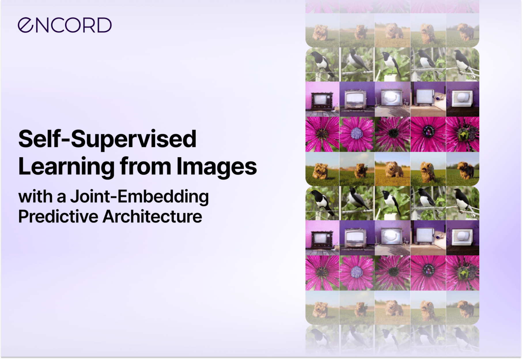 Meta AI’s I-JEPA Explained | Encord