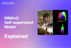 DINOv2 Explained: Revolutionizing Computer Vision with Self-Supervised Learning | Encord