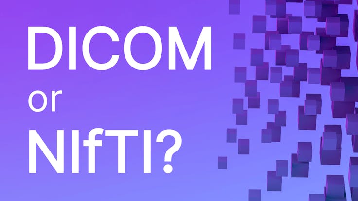 Complete Guide to Medical Image Annotations | Encord