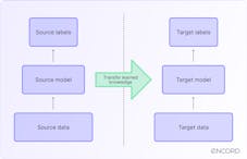 Transfer Learning: Definition, Tutorial & Applications | Encord