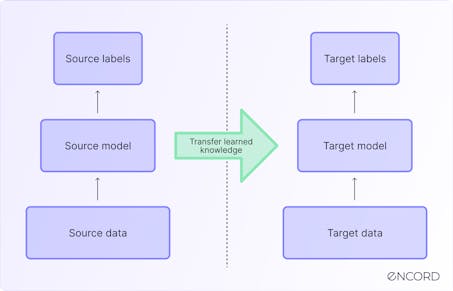 Transfer Learning: Definition, Tutorial & Applications | Encord