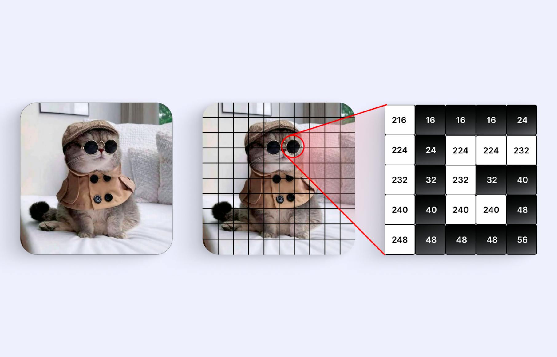 Improve Model Performance with Image Embeddings | Encord