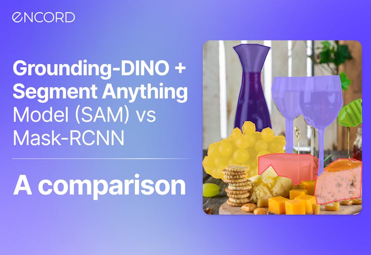 Learn how to fine-tune the Segment Anything Model (SAM) | Encord