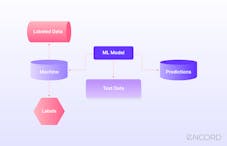 A Comprehensive Guide to Supervised Learning | Encord