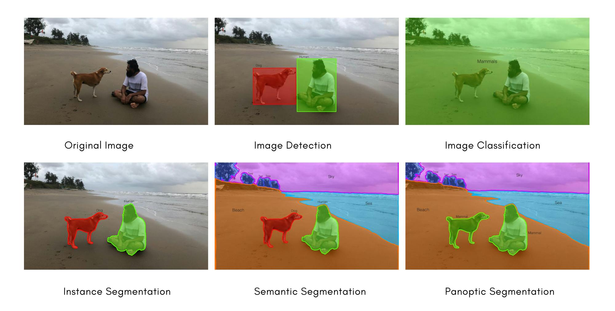 Guide to Image Segmentation in Computer Vision: Best Practices | Encord Guide to Image Segmentation in Computer Vision: Best Practices | Encord