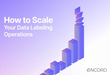 5 strategies to create successful data labeling operations | Encord
