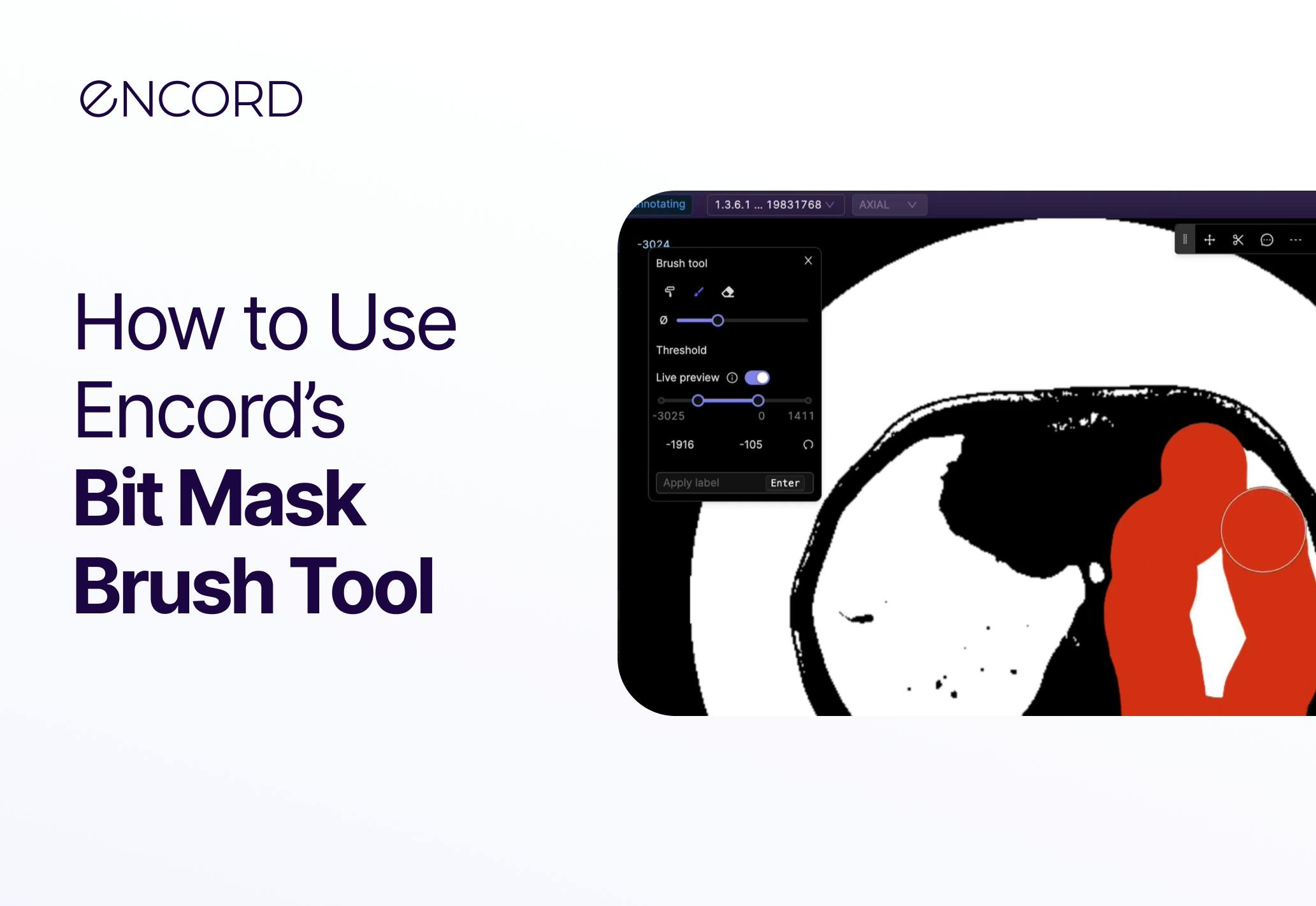 Using Encord’s new bit mask brush feature for DICOM and SDK support | Encord