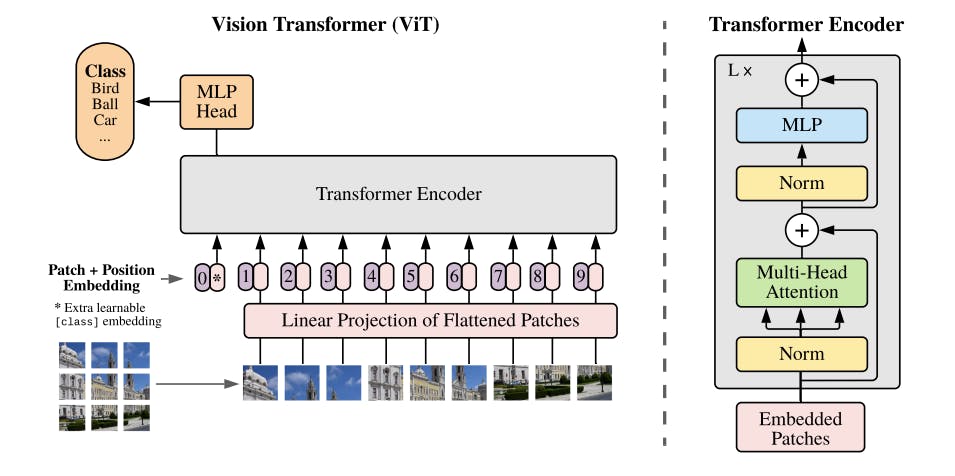 Introductory guide to Vision Transformers | Encord Introductory guide to Vision Transformers | Encord