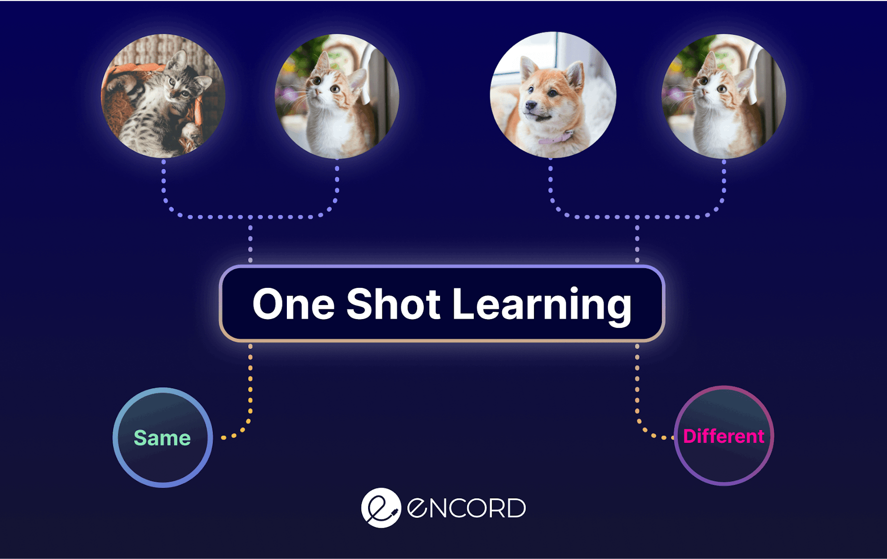 One-Shot Learning in AI - Definition and Examples | Encord