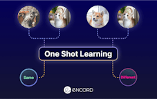 One-Shot Learning in AI - Definition and Examples | Encord