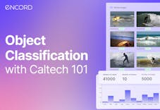 Object Classification with the Caltech 101 Dataset | Encord