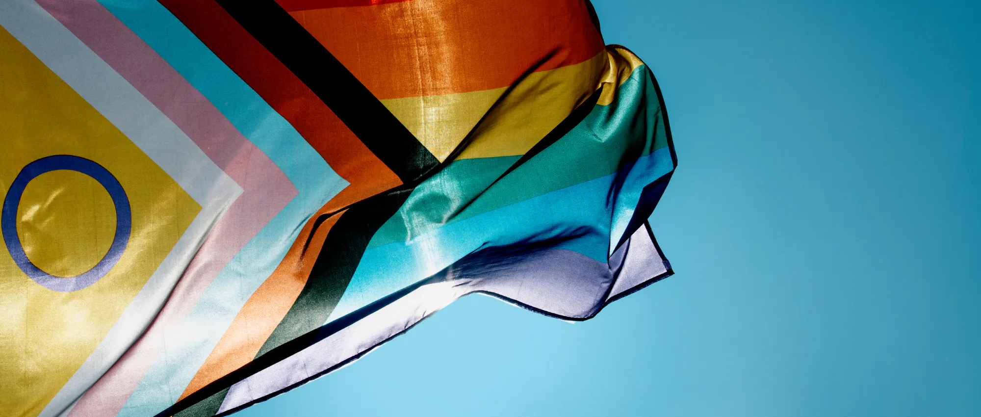 Queering the System: A Case for Inclusive Employment Policies