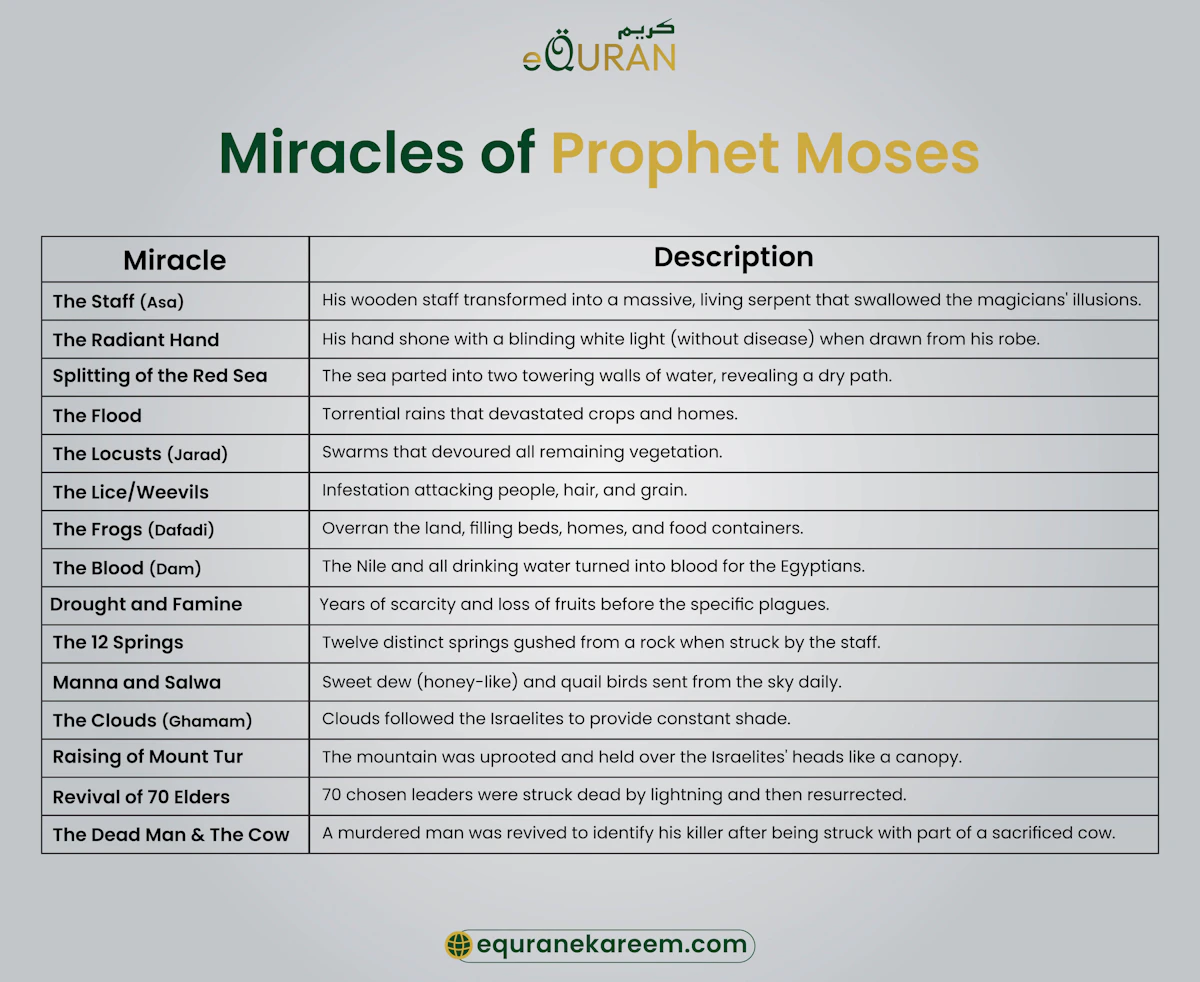 Prophet Musa (Moses): Kalimullah, 136 Quran Mentions, Miracles.