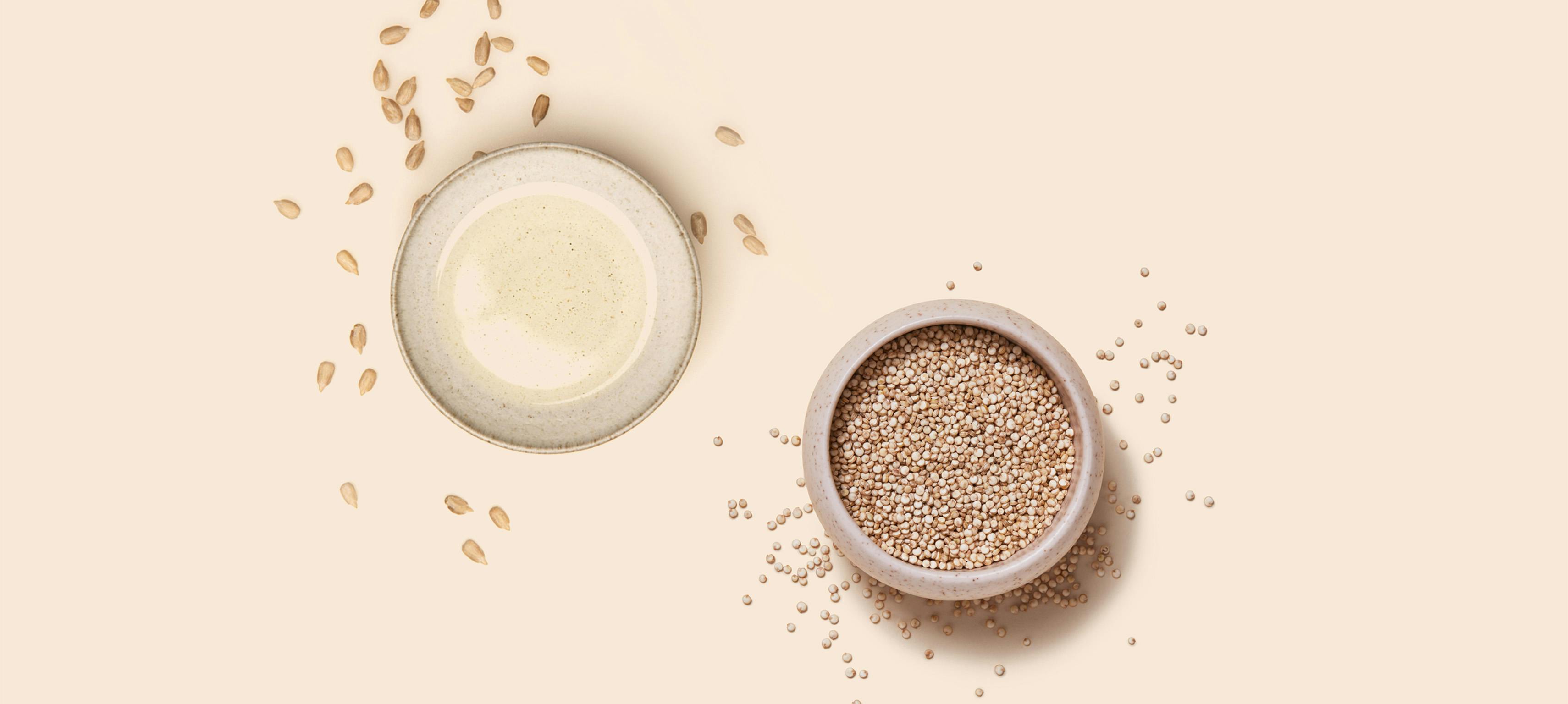 Meet Our Fave Color-Shielding Duo: Quinoa & Sunflower Seed Extract