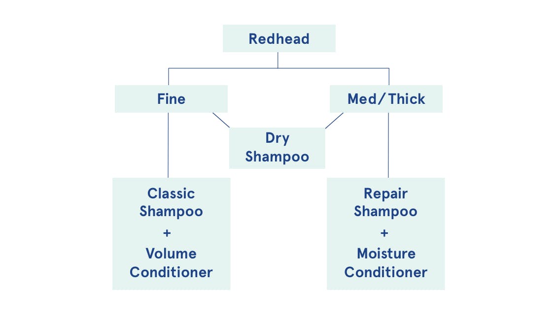 Which Shampoo and Conditioner Is Right for Me?