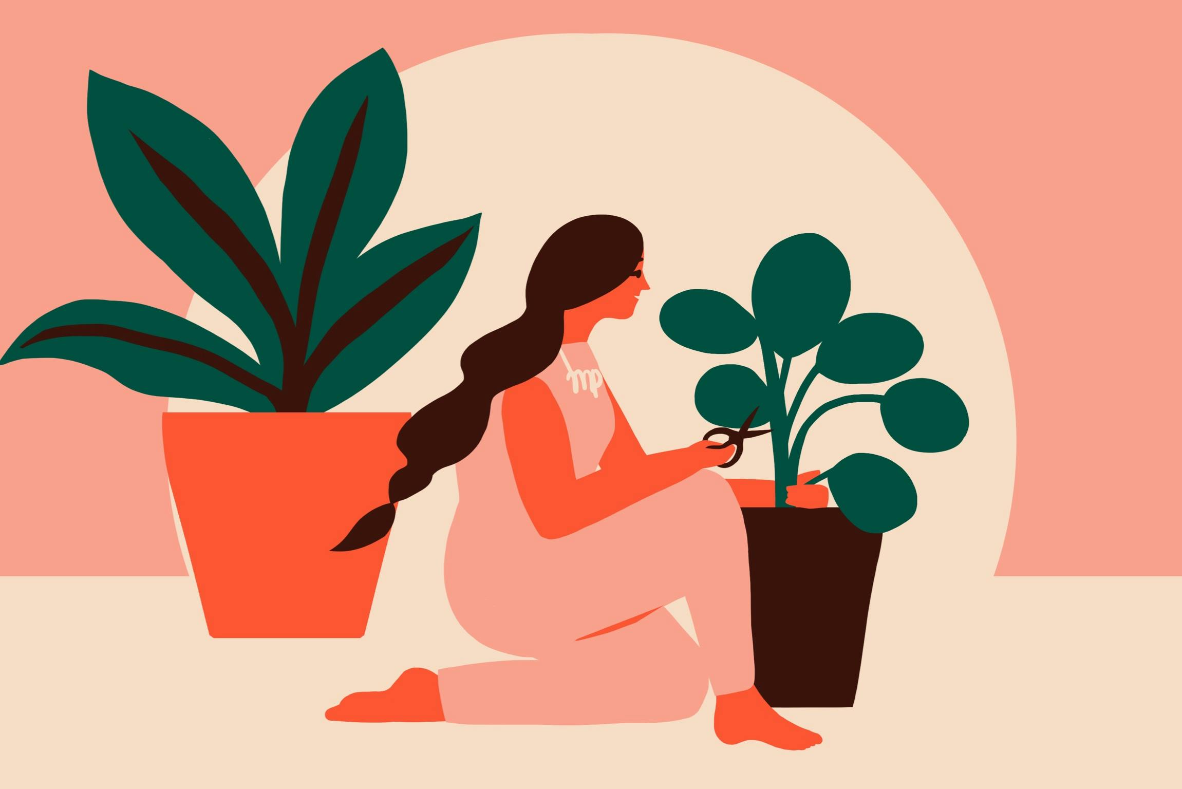 VIRGO 2020 COLORSCOPE