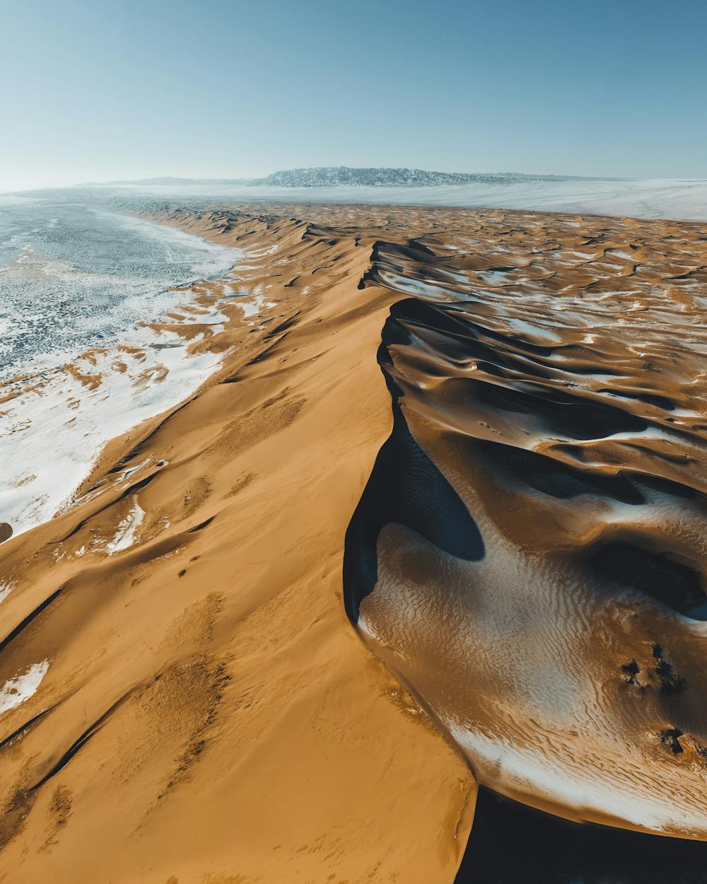 Camel Route - Escape To Mongolia