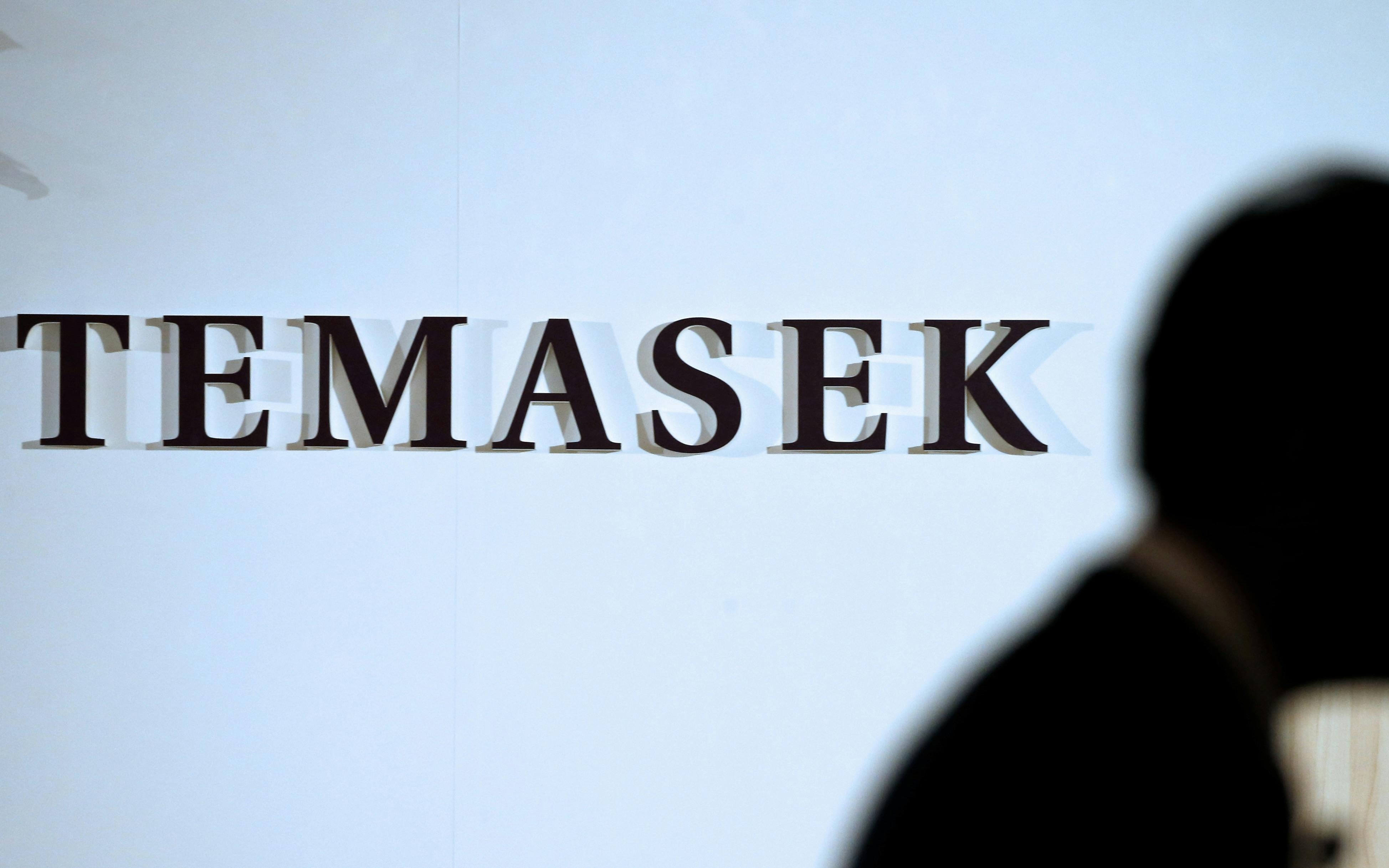 Temasek and Warburg Pincus prepare billion-dollar sale of GHX | Eulerpool