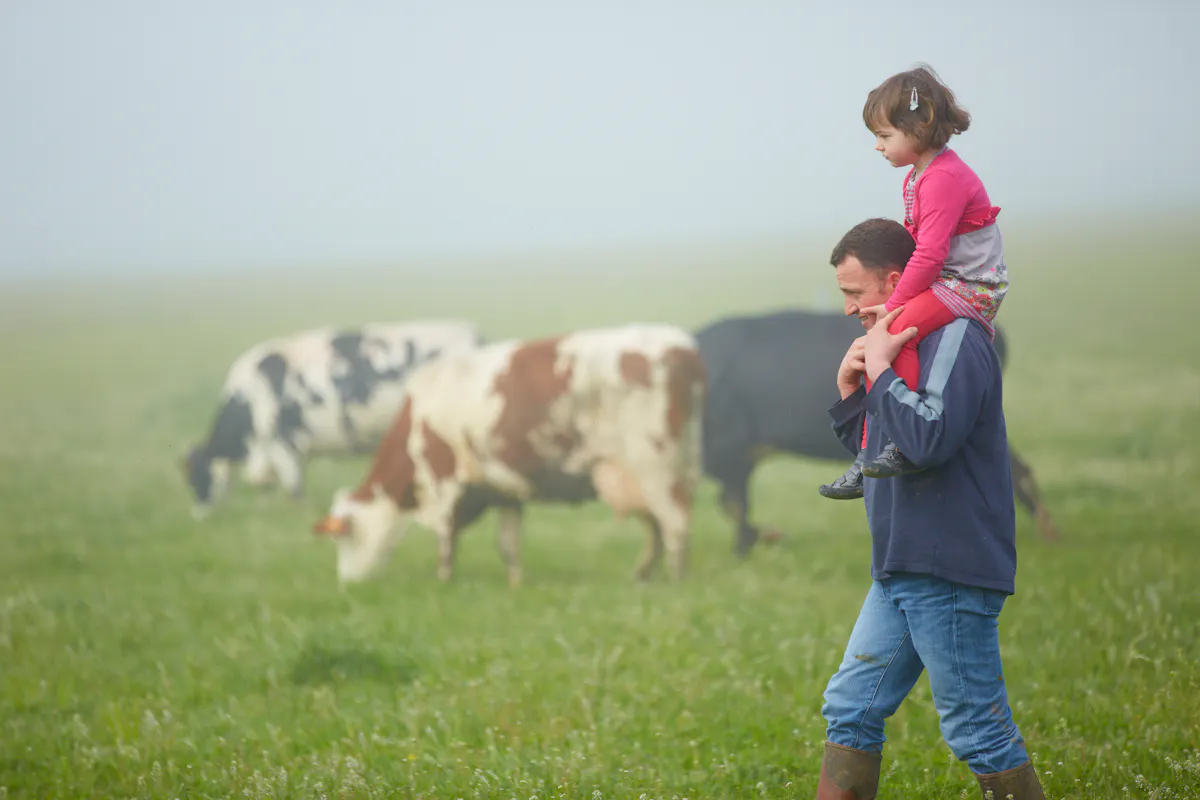 Eurilait - Premium Dairy Products & Speciality Cheese Supplier and Co ...