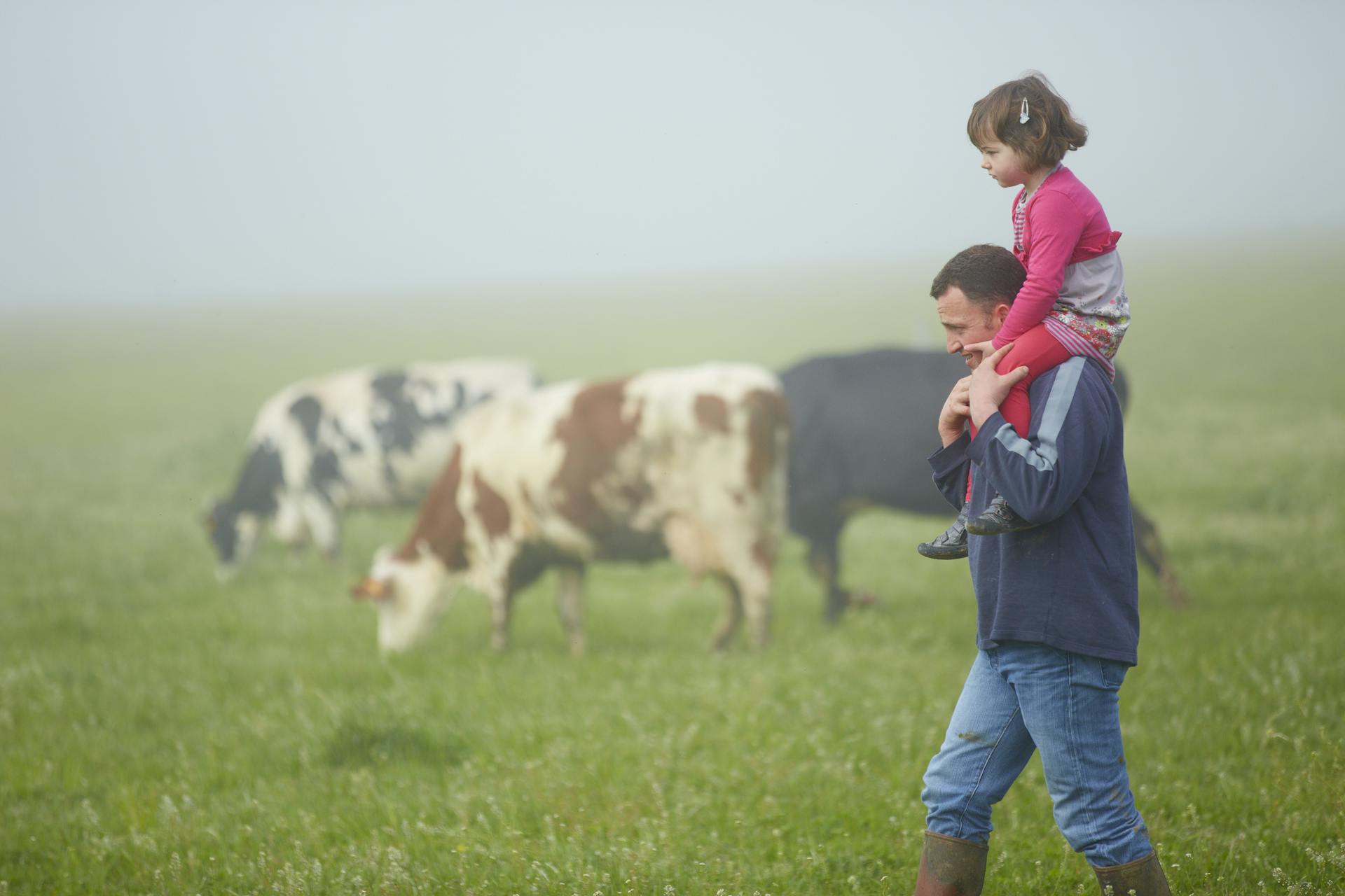 Eurilait - Premium Dairy Products & Speciality Cheese Supplier and Co ...