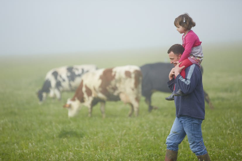 Eurilait - Premium Dairy Products & Speciality Cheese Supplier and Co ...