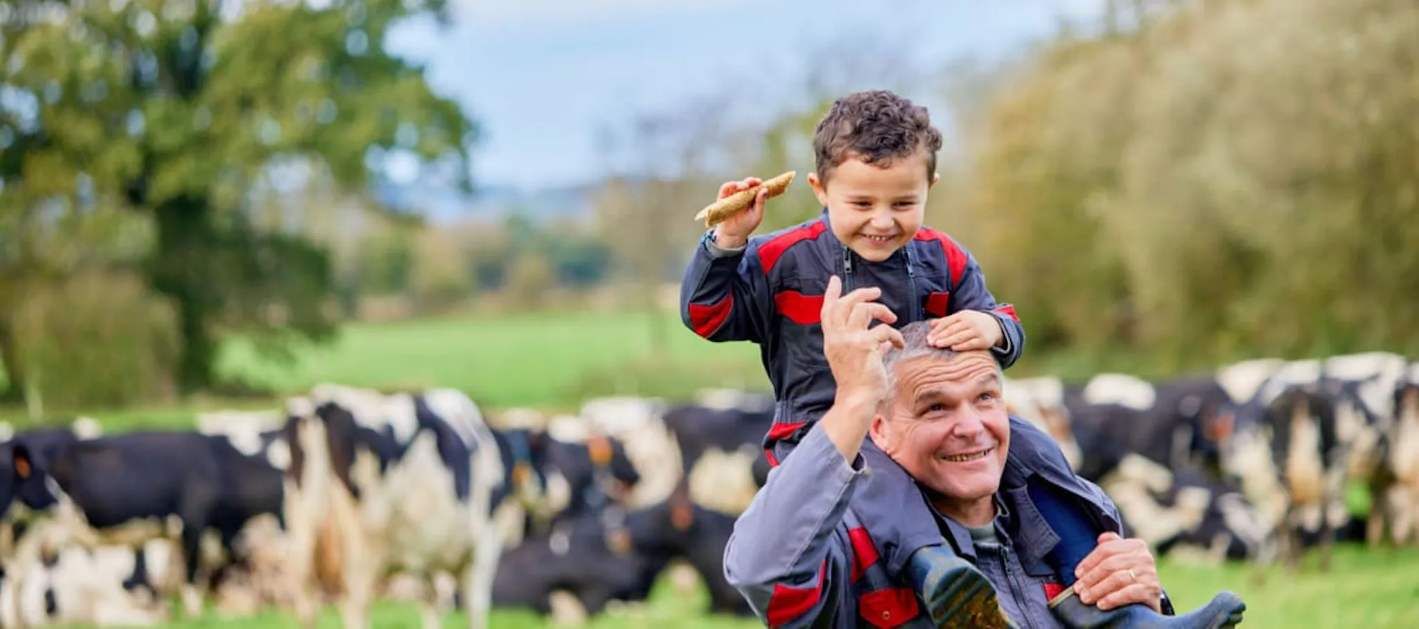 Our Products and Services - Eurilait | Premium Dairy Products ...