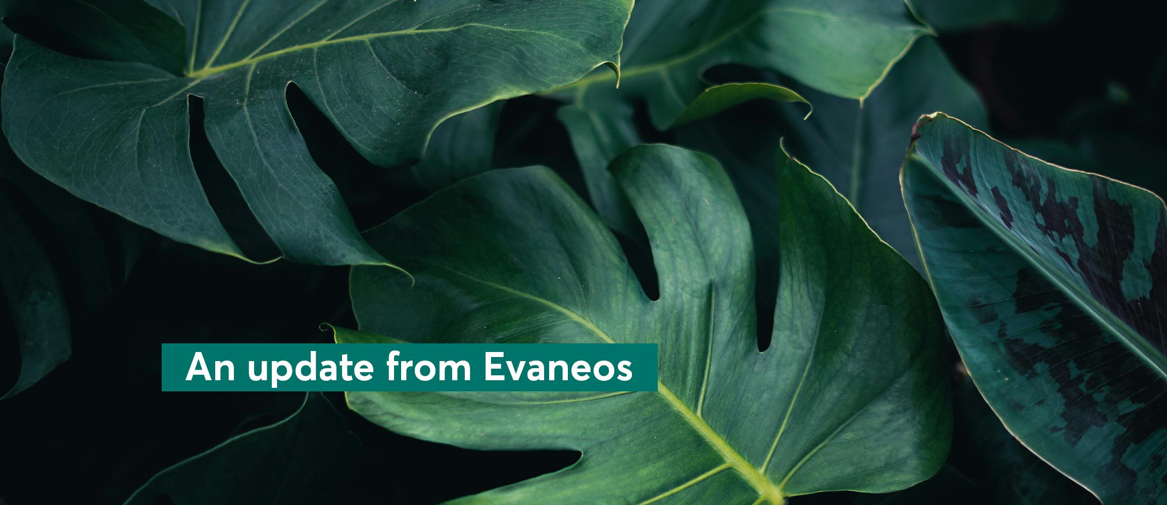 An important update from Evaneos | Evaneos
