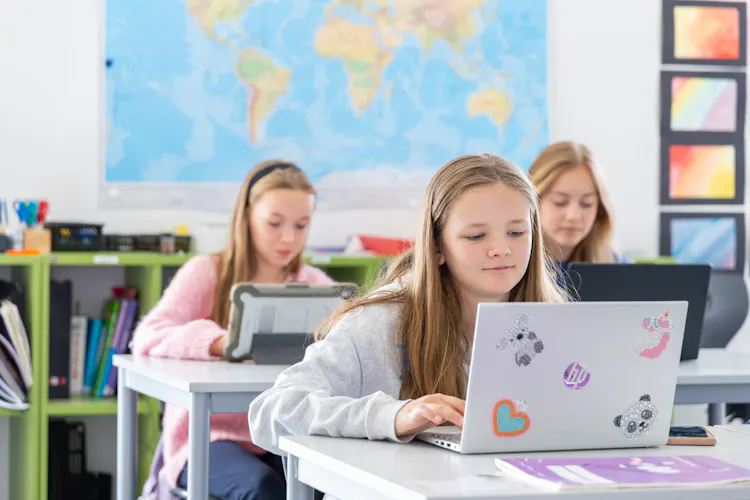 Lingdys Pluss: Lese- Og Skrivehjelp For Deg Med Dysleksi | Everway
