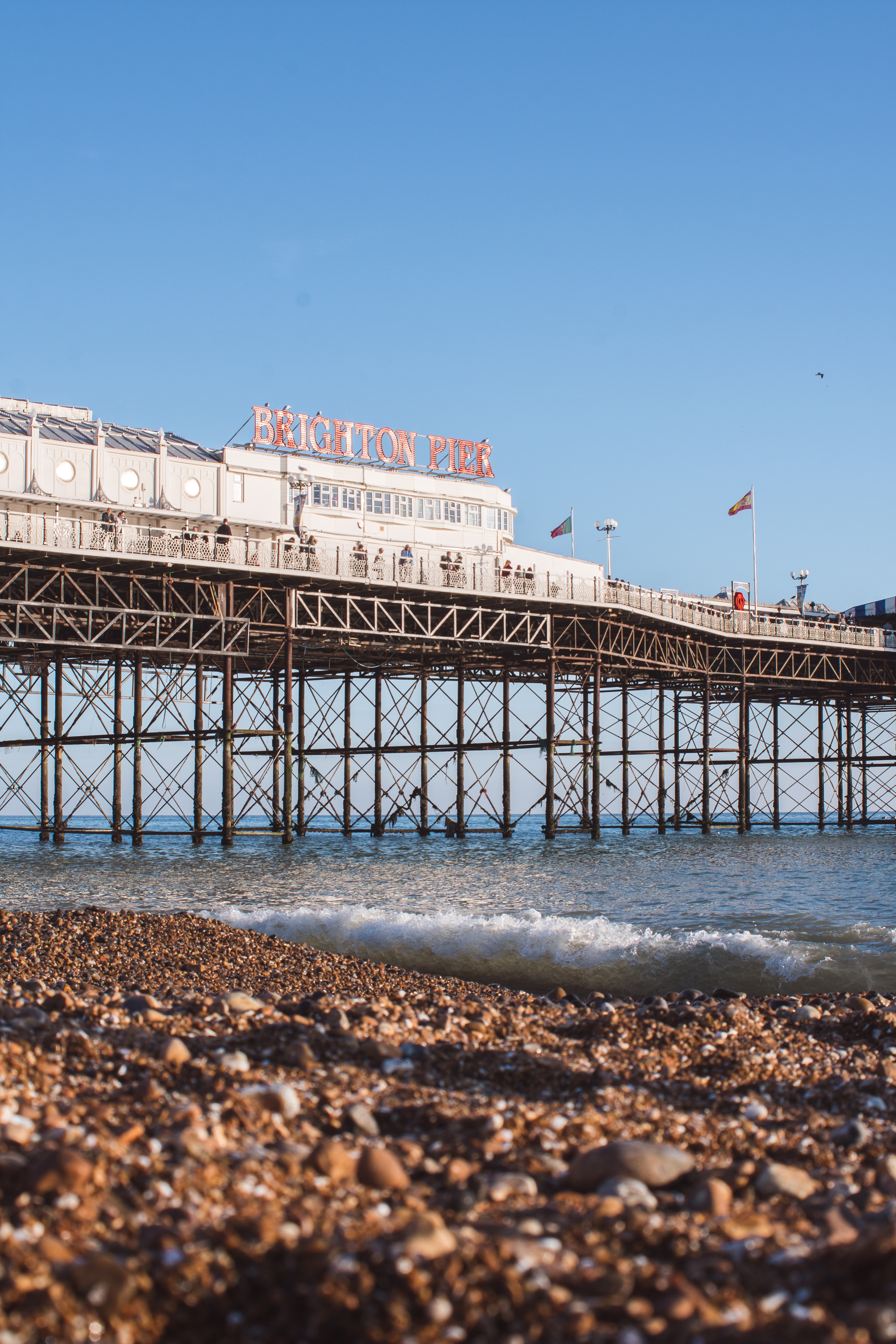 Brighton | Exceptional ALIEN