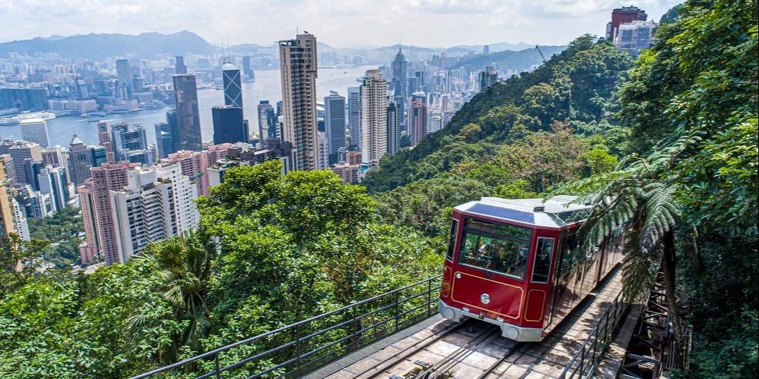 The Peak | Exceptional ALIEN