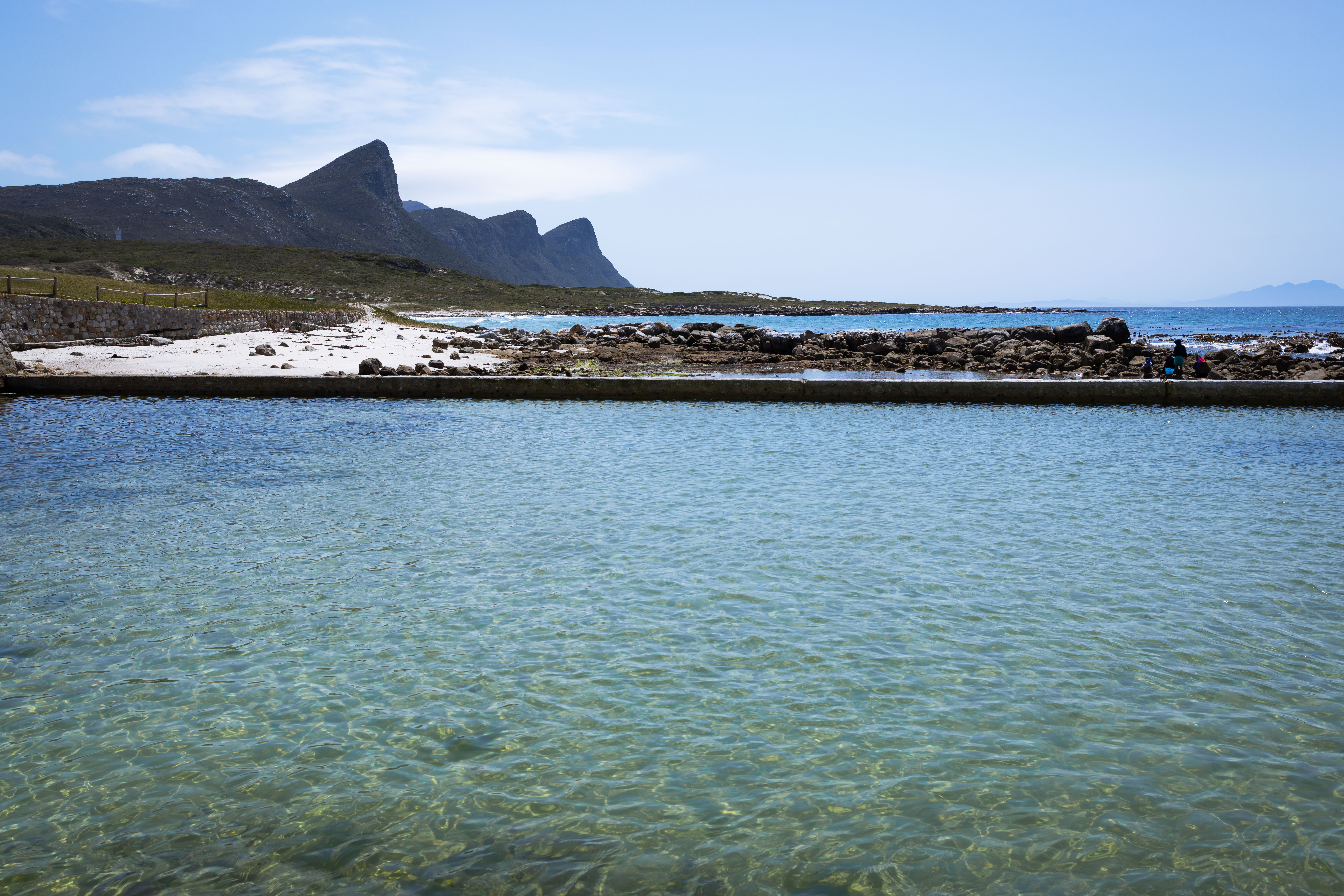 Cape Point Nature Reserve | Exceptional ALIEN