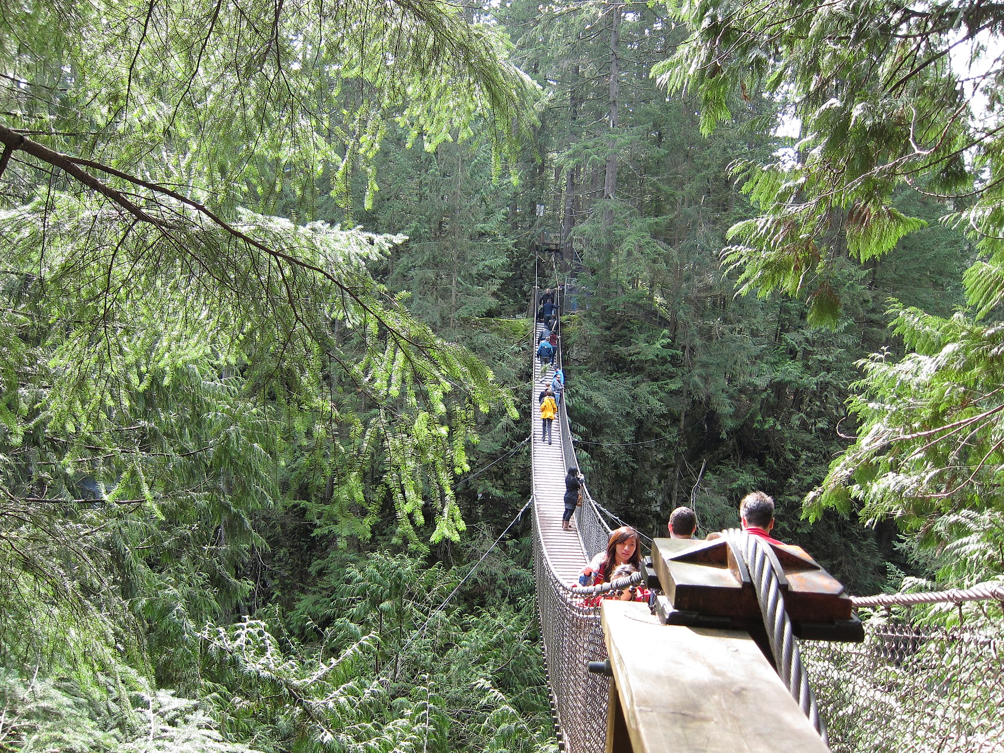 Lynn Canyon Park | Exceptional ALIEN
