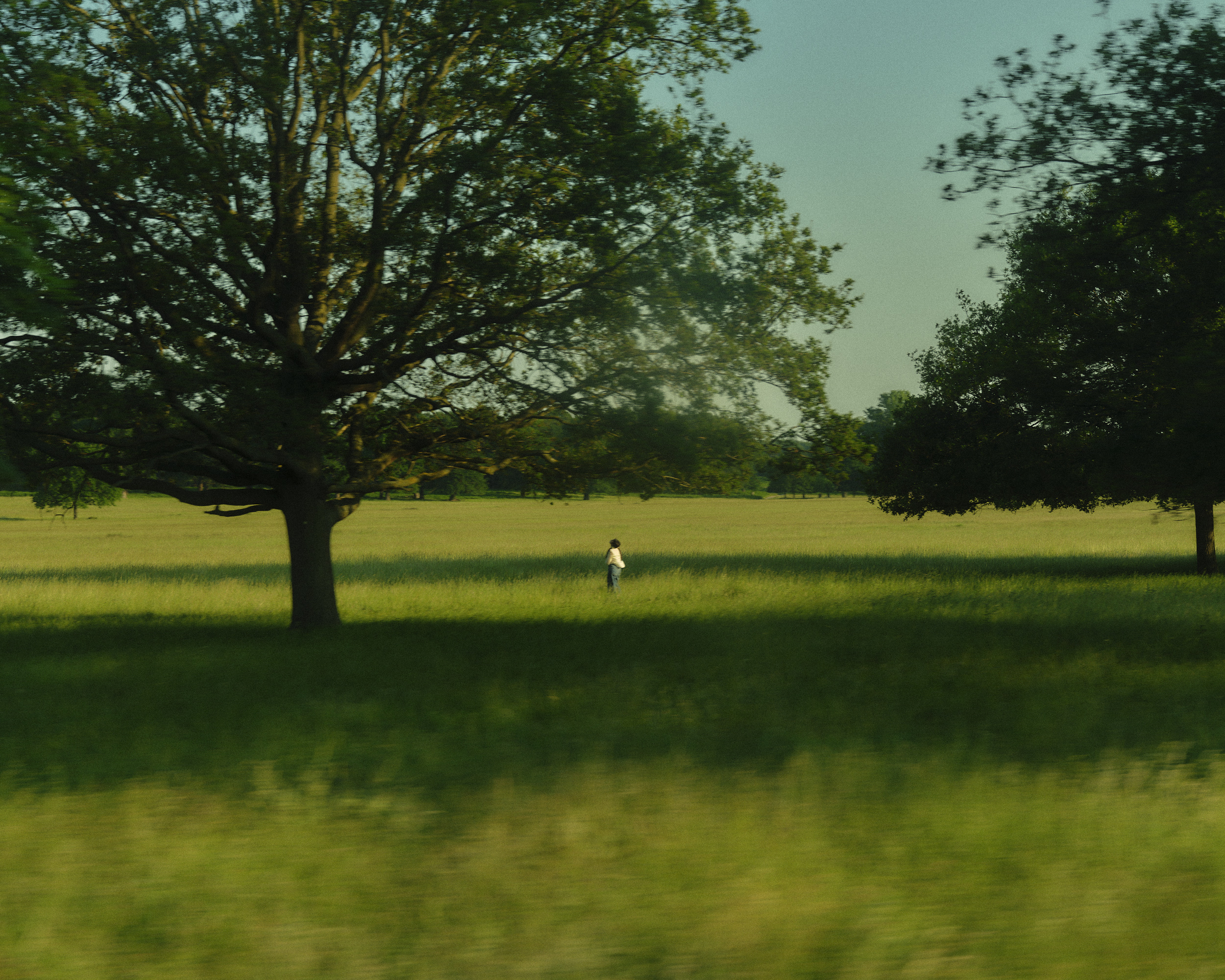 Richmond Park | Exceptional ALIEN