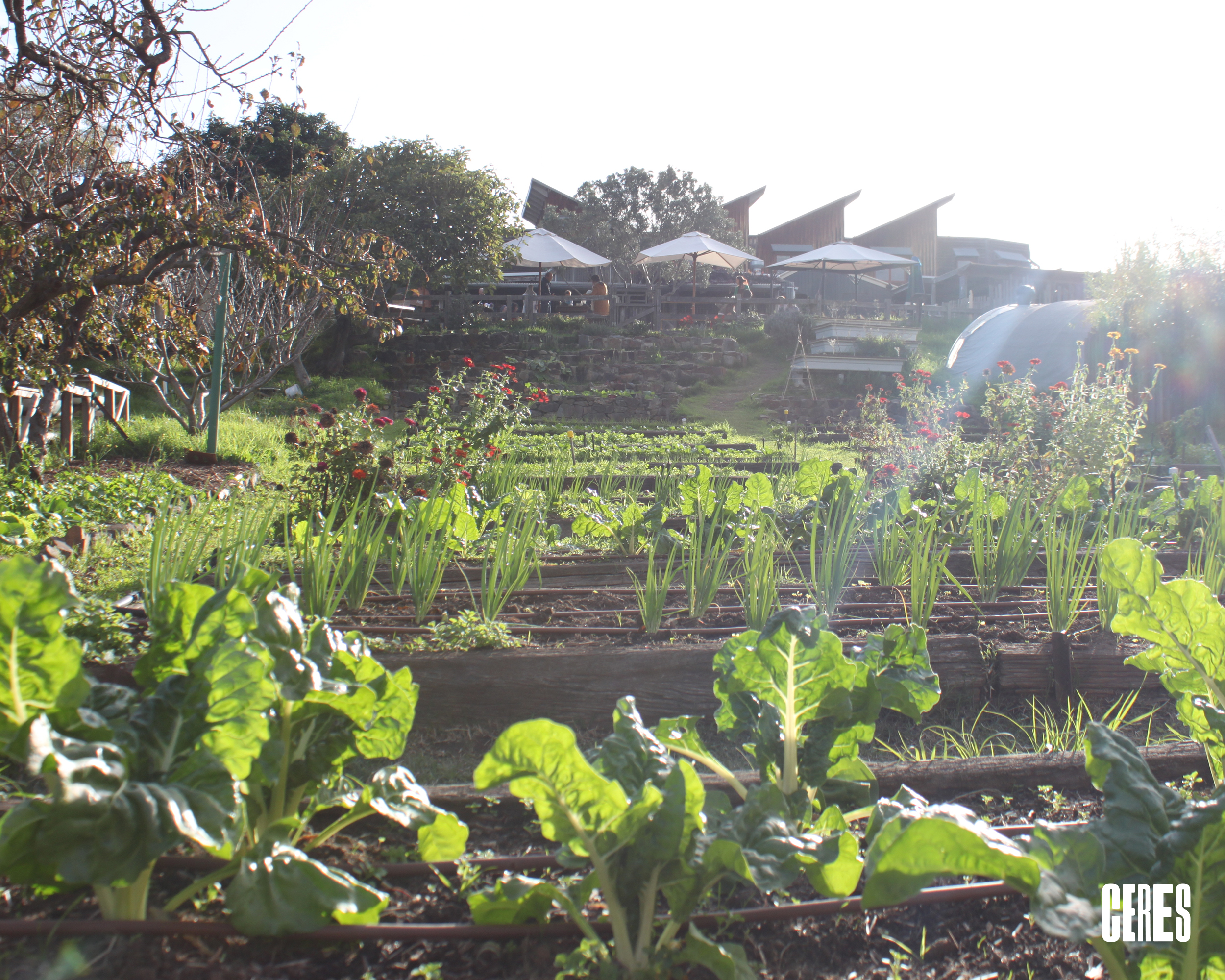 CERES Community Environment Park | Exceptional ALIEN