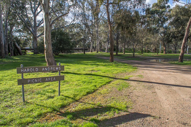 Malone Park Reserve | Exceptional ALIEN