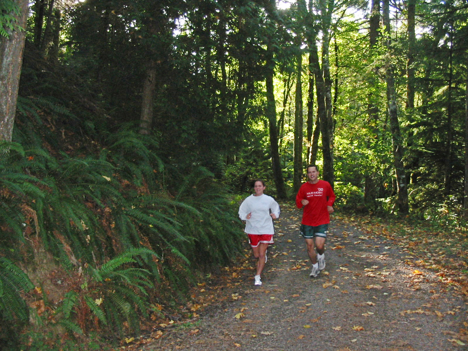 Leif Erikson Trail in Forest Park | Exceptional ALIEN