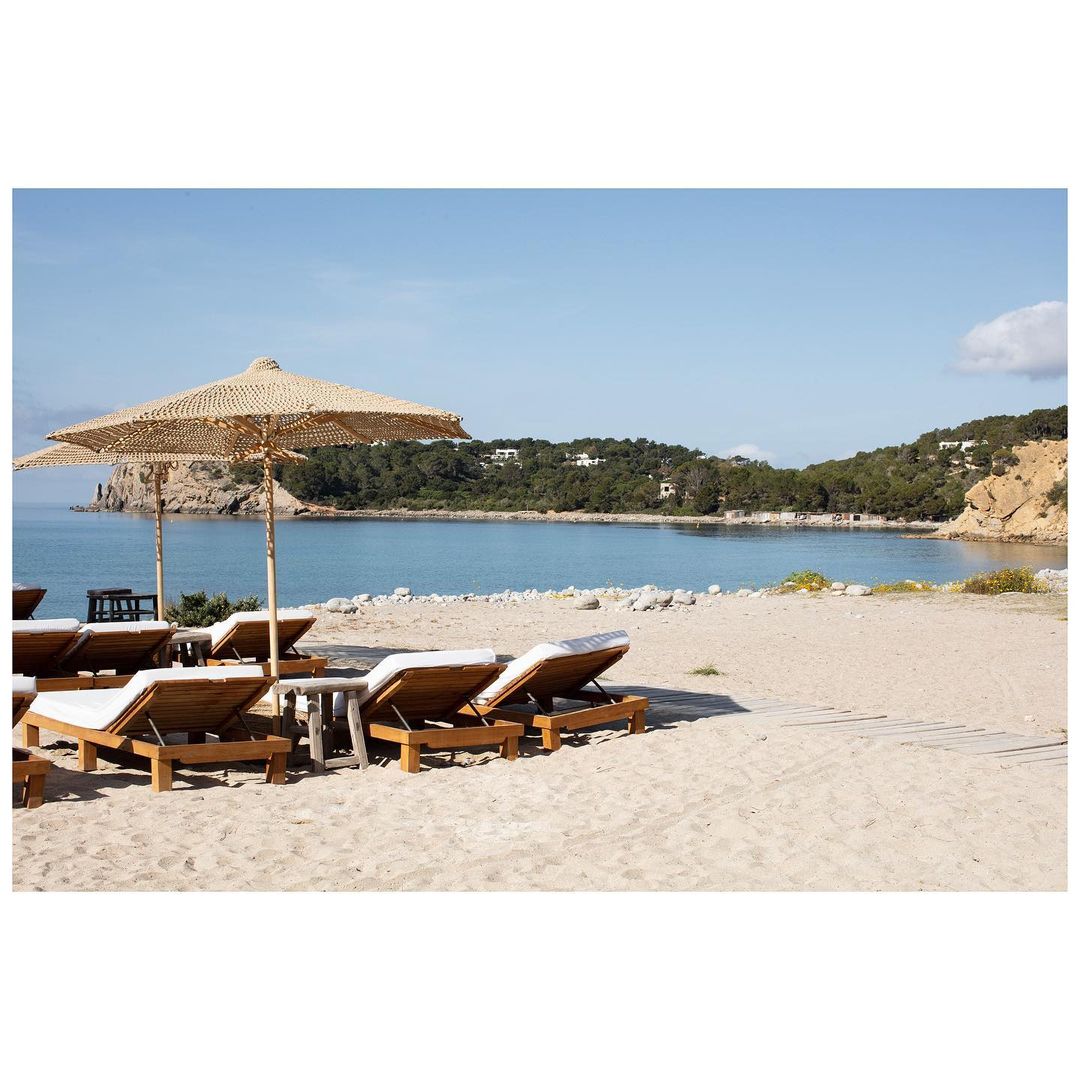 Jondal | Exceptional ALIEN