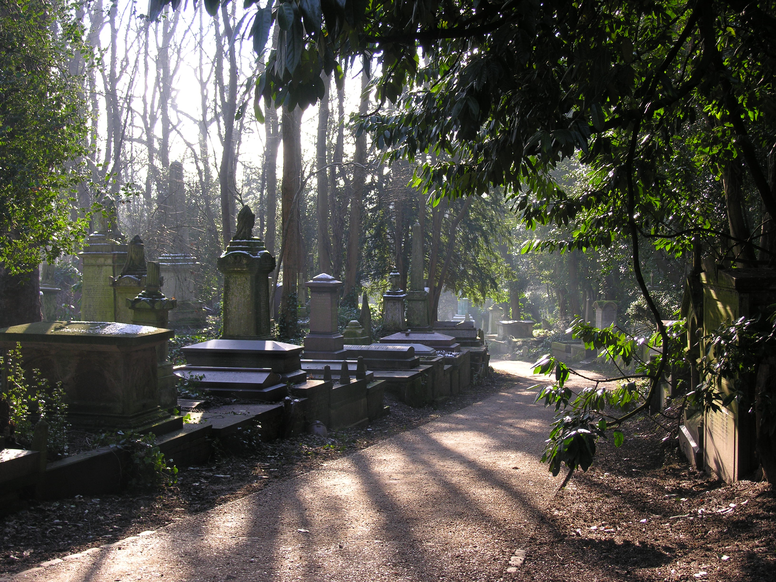 Highgate Cemetery | Exceptional ALIEN
