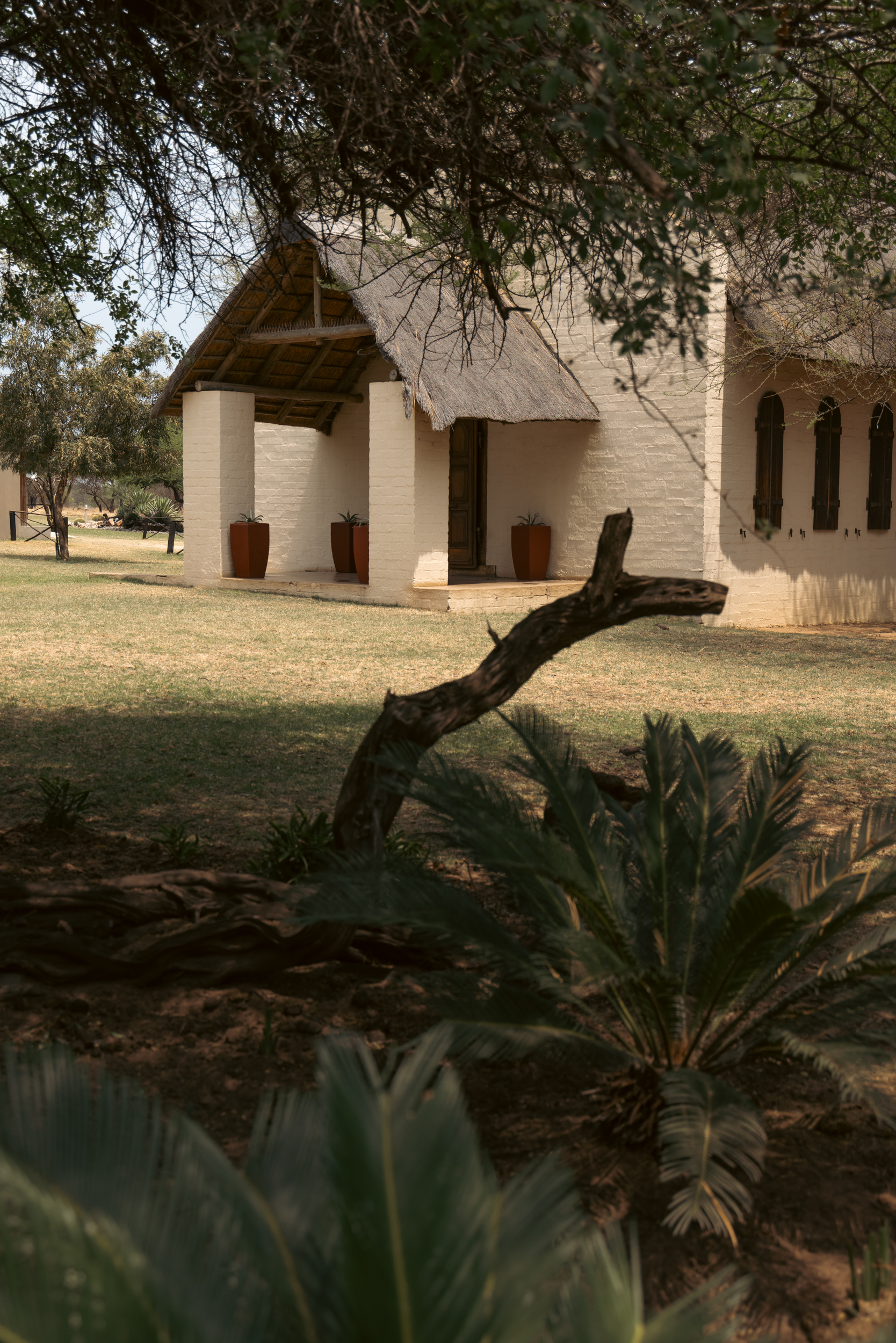 Mongena Private Game Lodge | Exceptional ALIEN