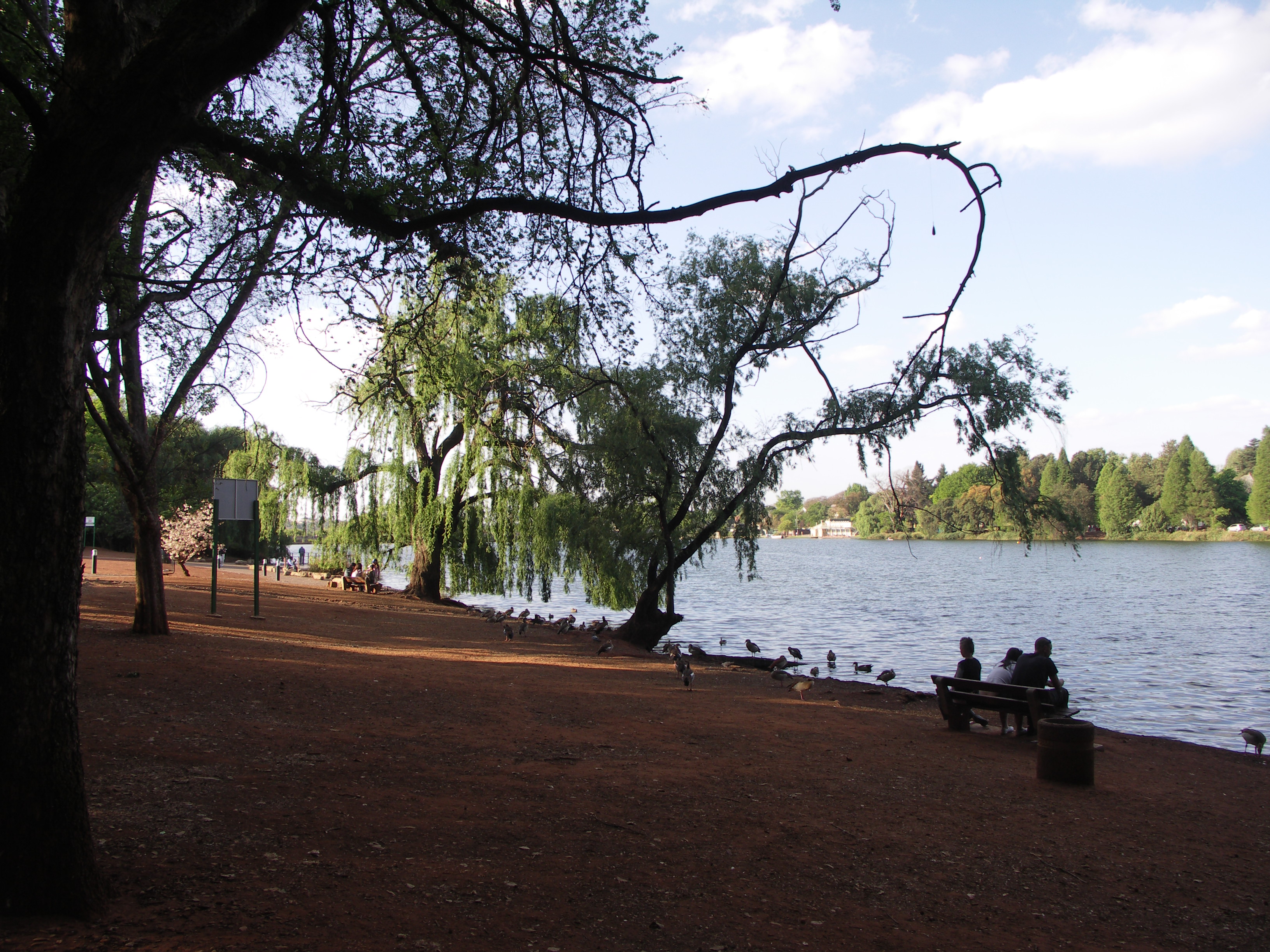 Emmarentia Dam | Exceptional ALIEN