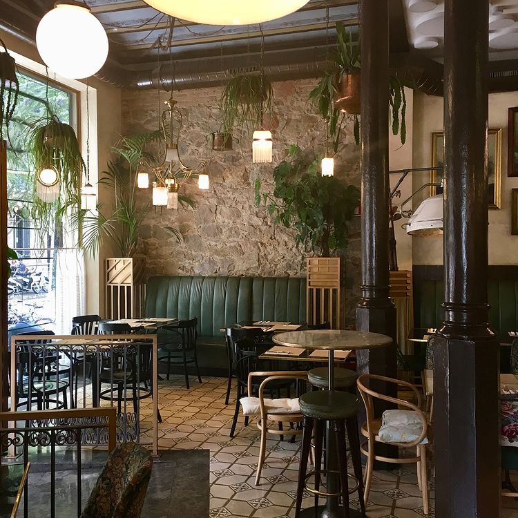 Dora | Exceptional ALIEN