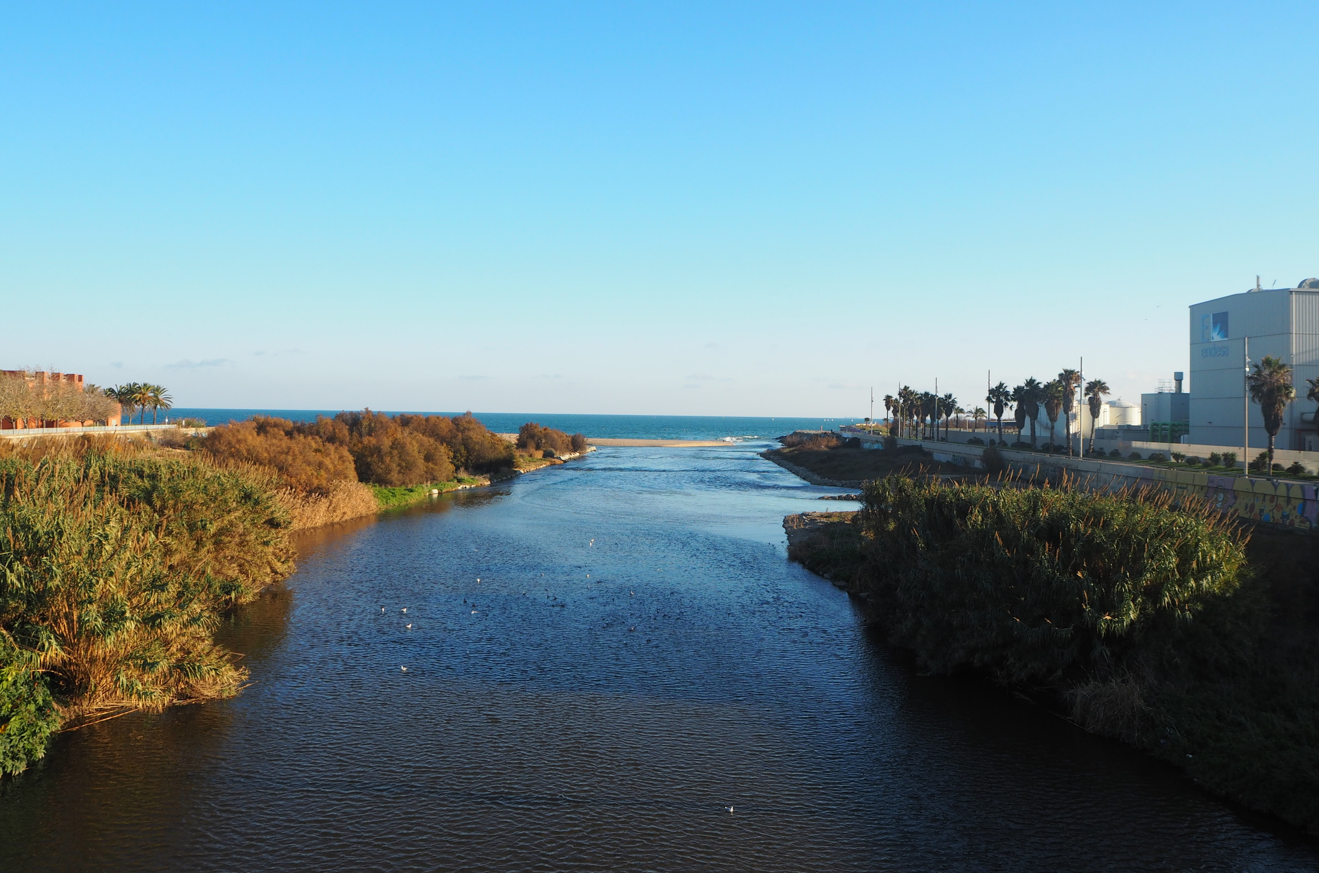 Llobregat River Park | Exceptional ALIEN
