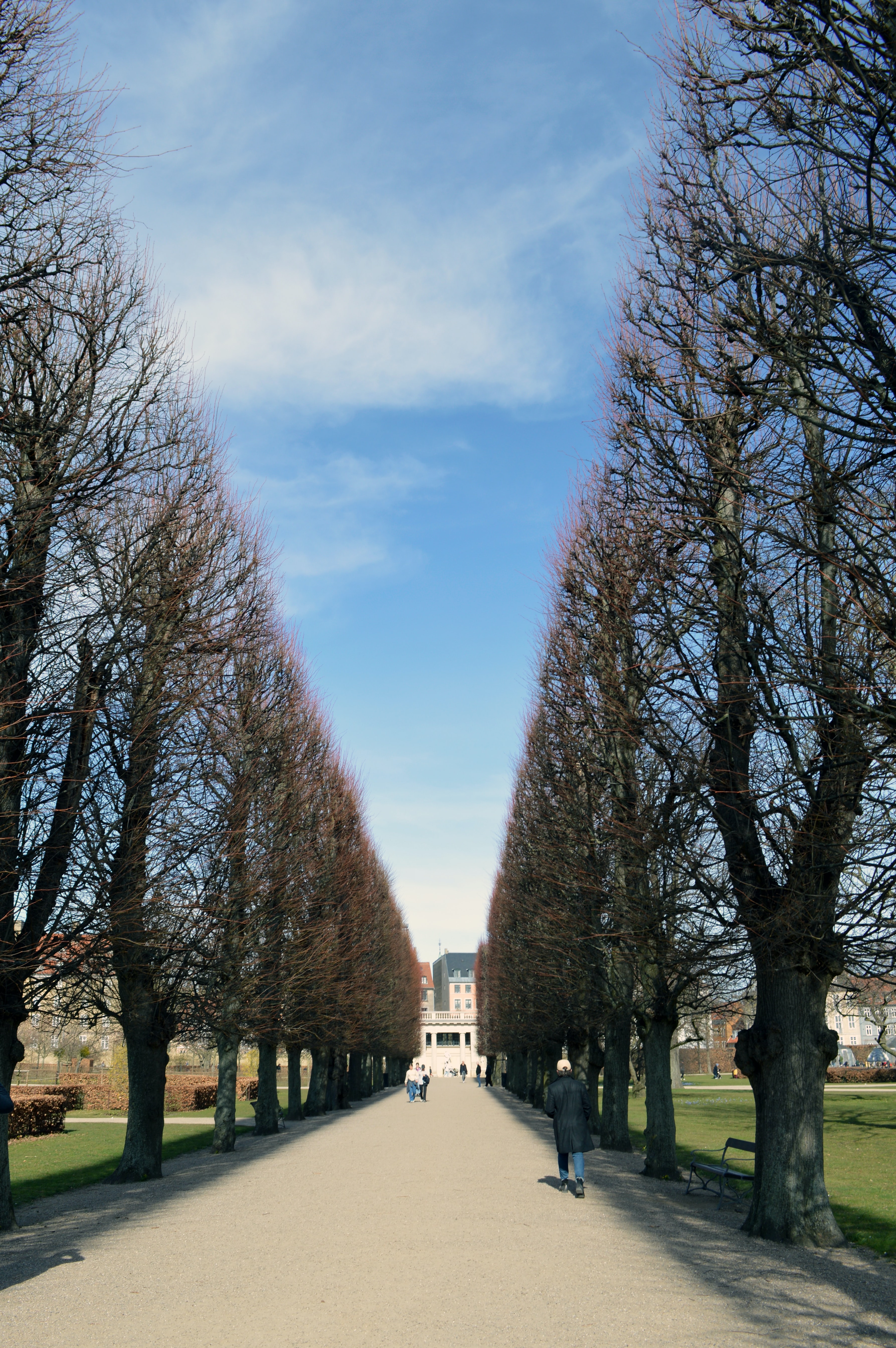 Kongens Have | Exceptional ALIEN