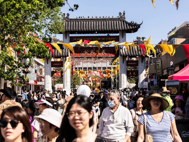 Cabramatta | Exceptional ALIEN