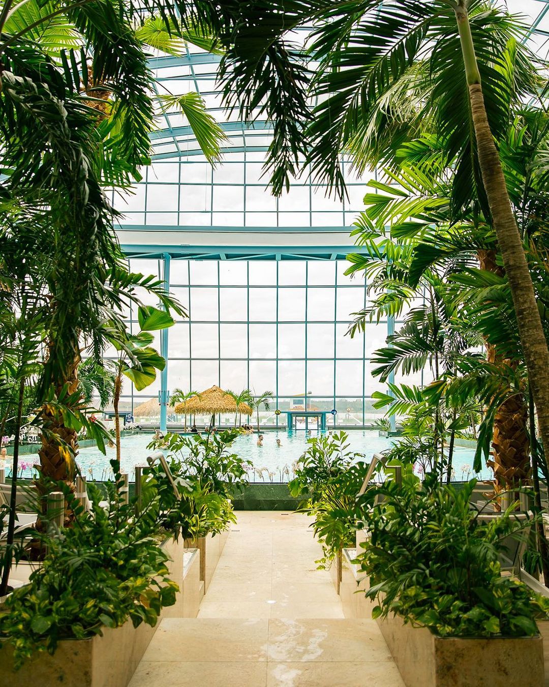 Suntago | Exceptional ALIEN