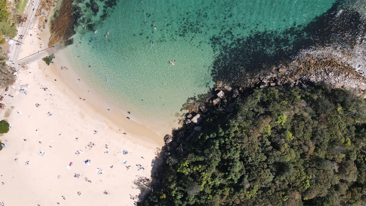 Spit Bridge to Manly Walk | Exceptional ALIEN