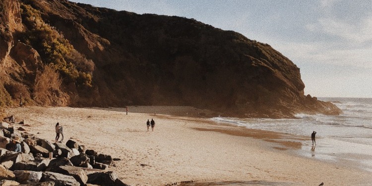 Topanga Beach | Exceptional ALIEN