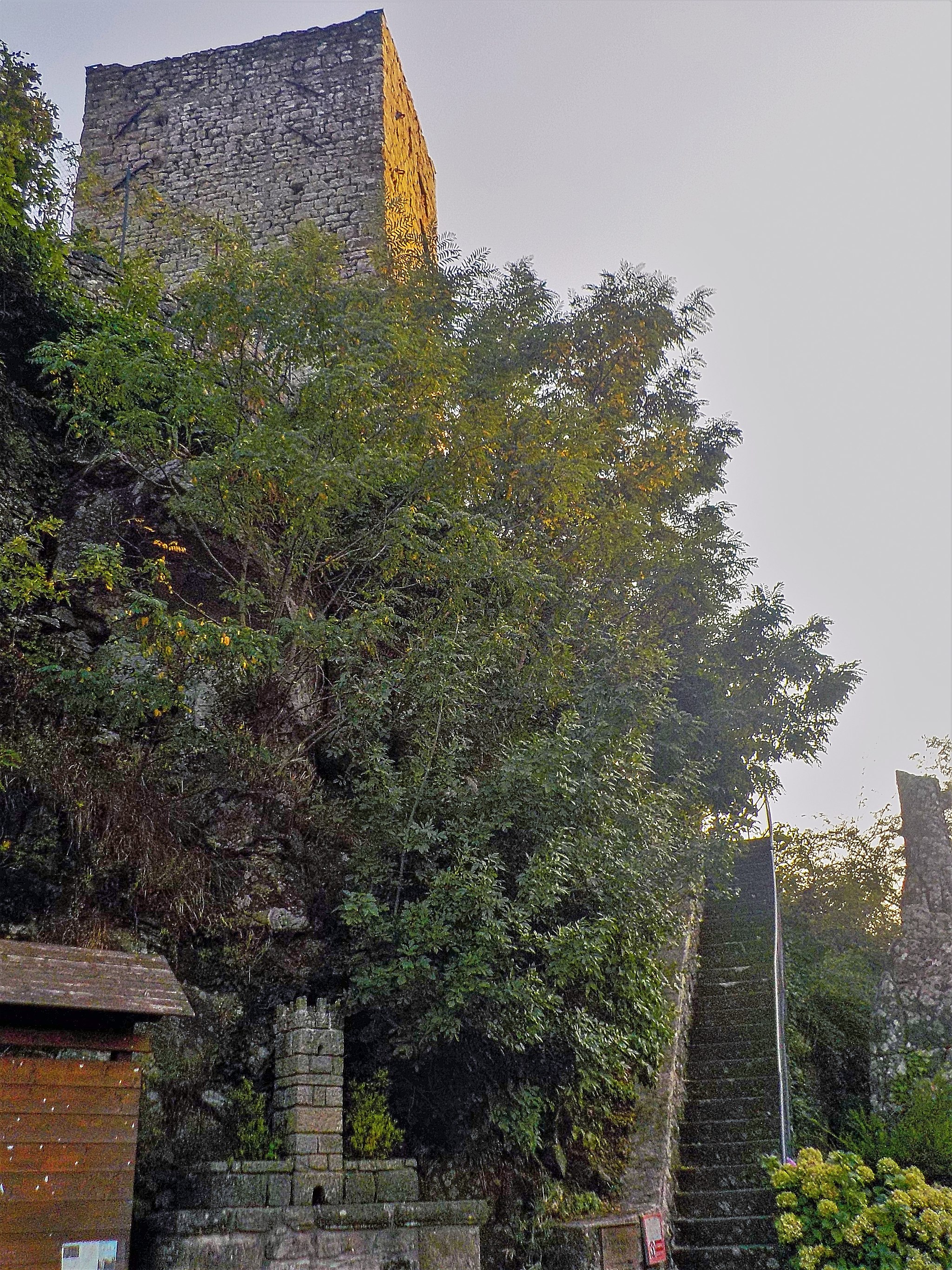 Casentino Valley | Exceptional ALIEN